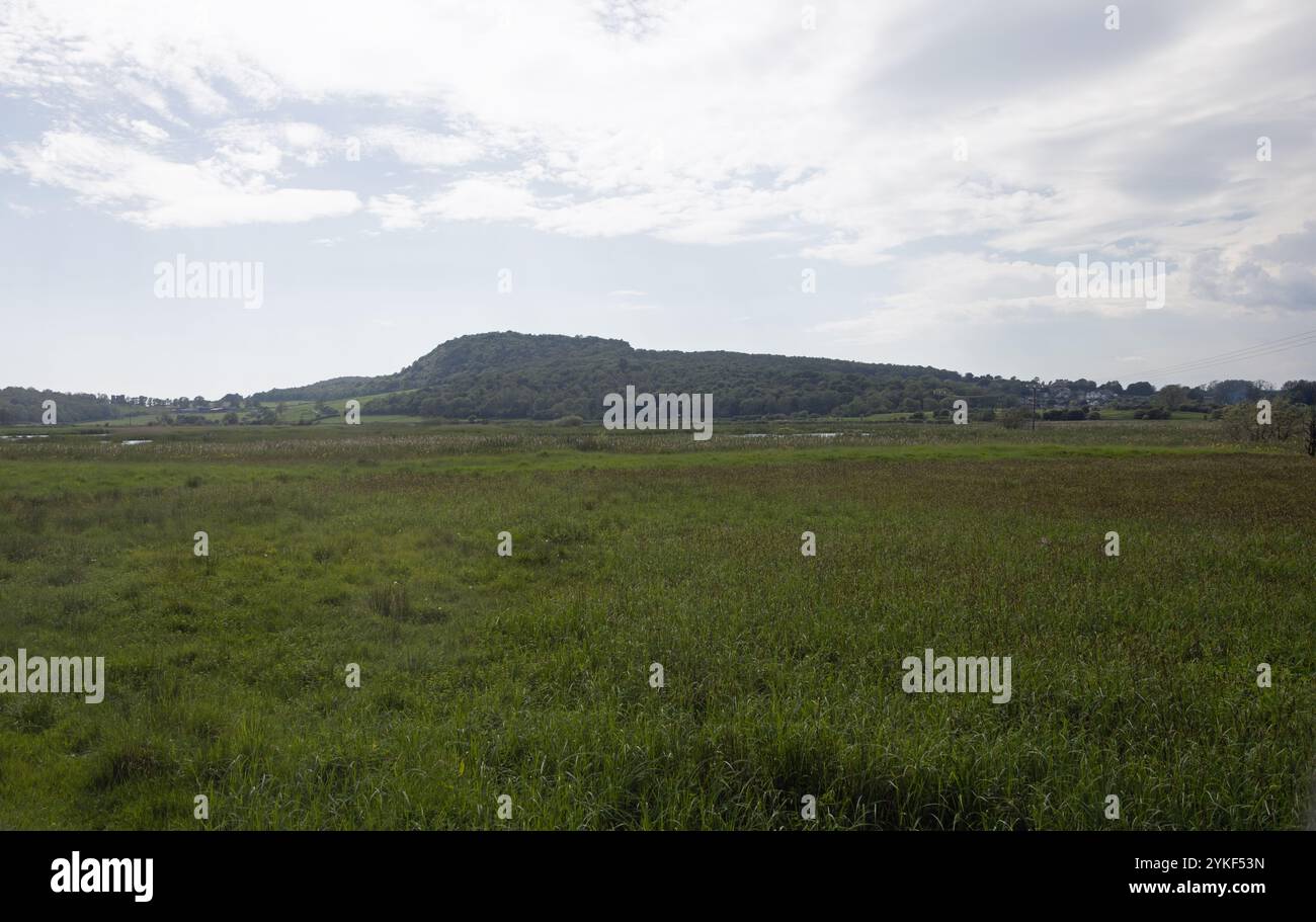 Silverdale Moss and Arnside Knott Westmorland and Furness England Stock ...