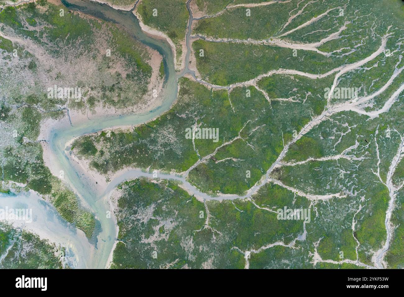 Top view drone capture of the Ria del Eo's intricate patterns where the ...