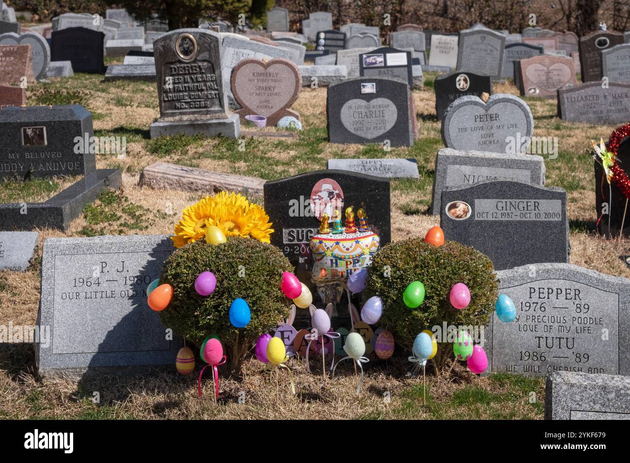Dog headstones decorated for Easter & a dog's birthday. at the ...