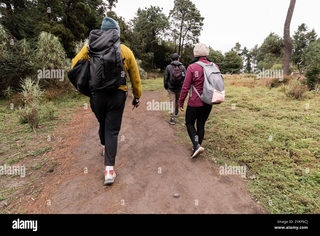 Enjoy serene walk through hi-res stock photography and images - Alamy