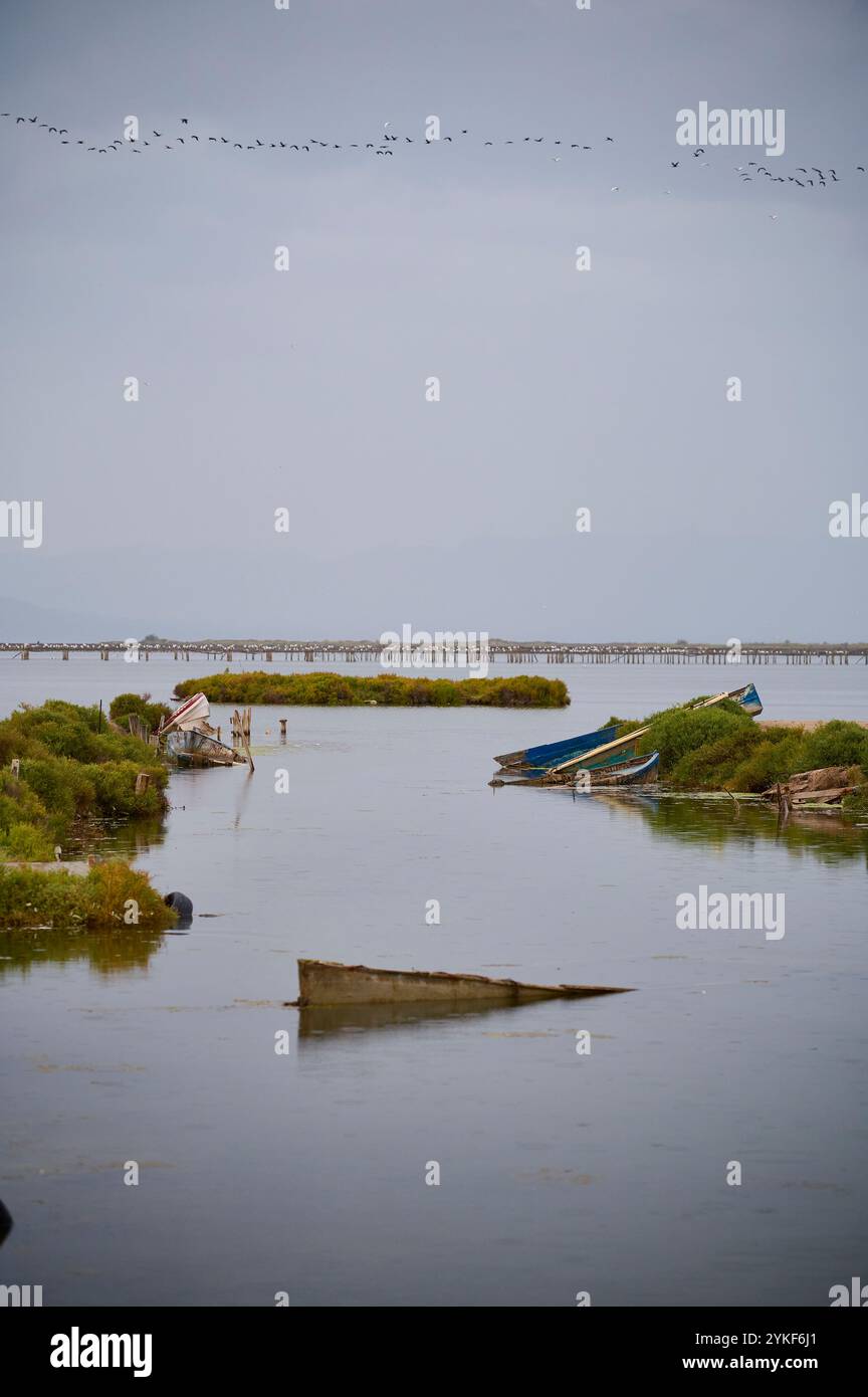 Featuring faint outlines hi-res stock photography and images - Alamy