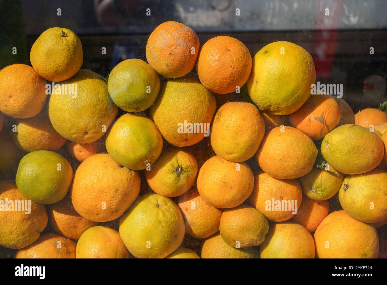 Pile of fresh oranges showcased behind glass, emitting a sunny, citrus ...