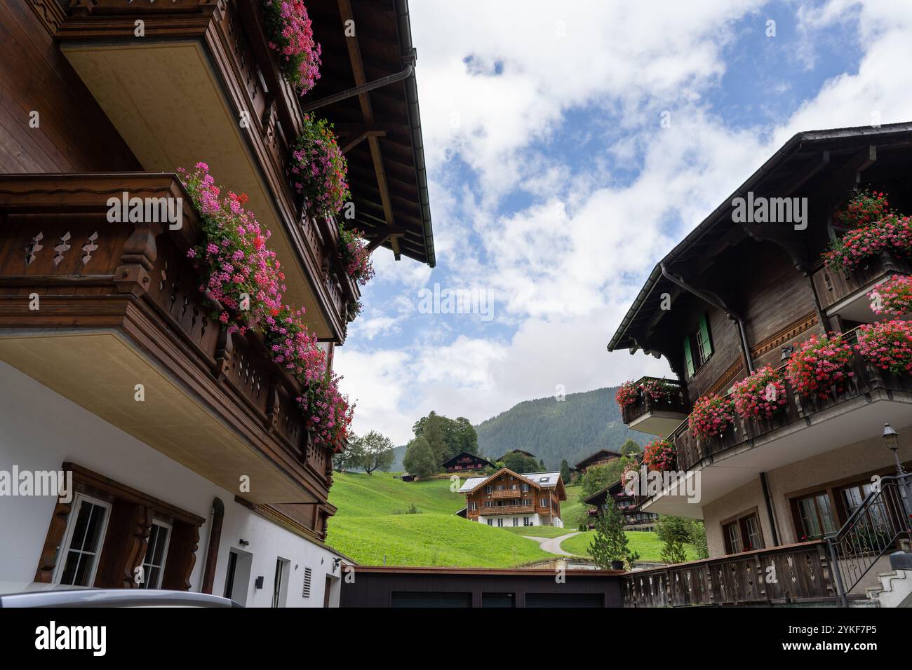 Captivating view of traditional Swiss chalets in Grindelwald, decorated ...