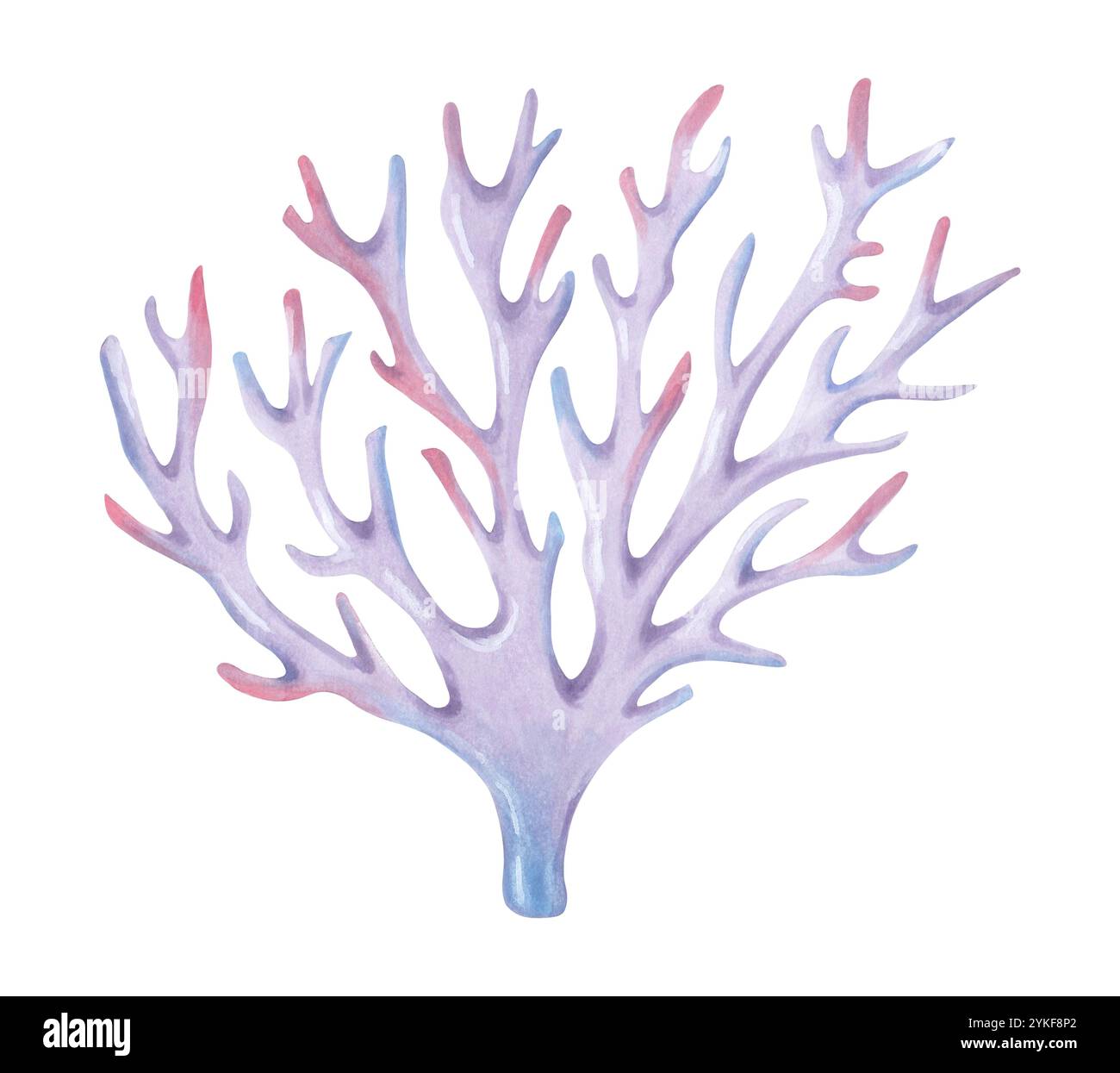 Branching coral. Watercolor and marker illustrations. Ocean coral reefs ...