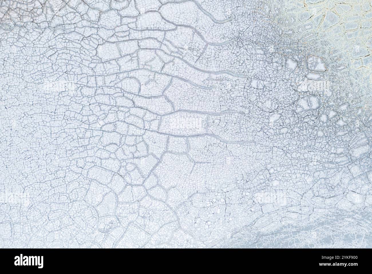 A high resolution image showcasing the intricate patterns of dried and ...