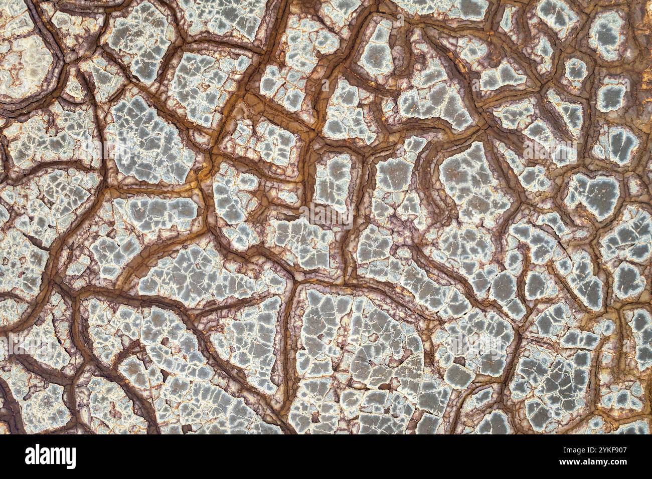 High resolution image showcasing intricate dried mud textures with ...