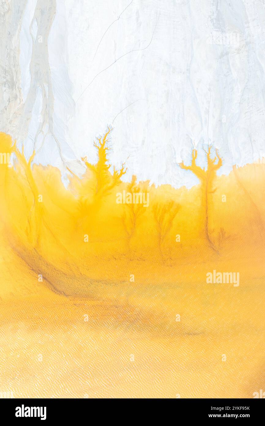 A vivid abstract composition, resembling mud textures and silhouettes ...