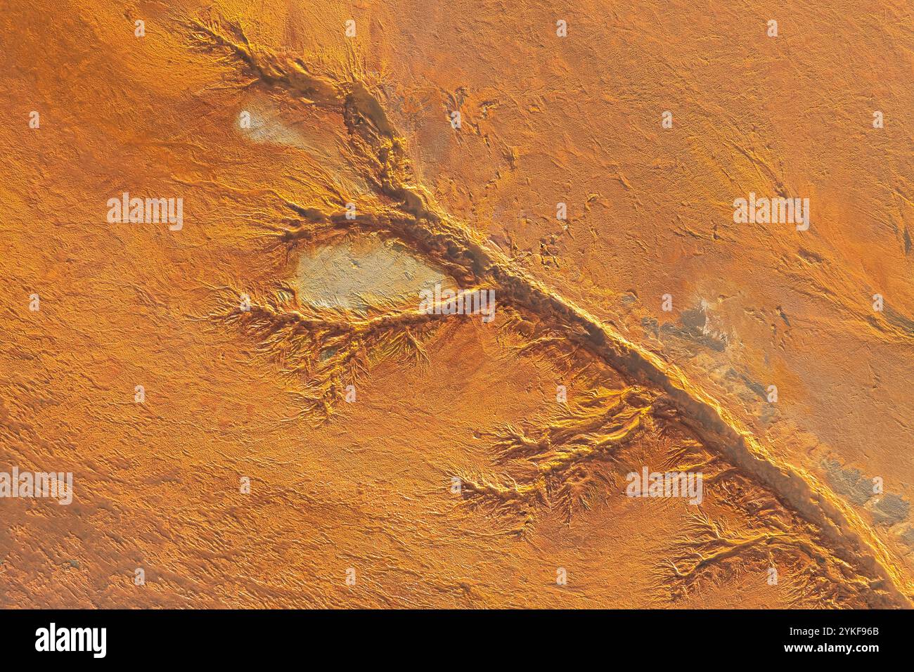 A captivating aerial view showcases the natural artistry of mud tree ...