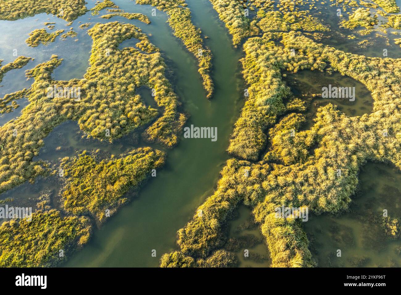 Aerial photograph captures golden hi-res stock photography and images ...