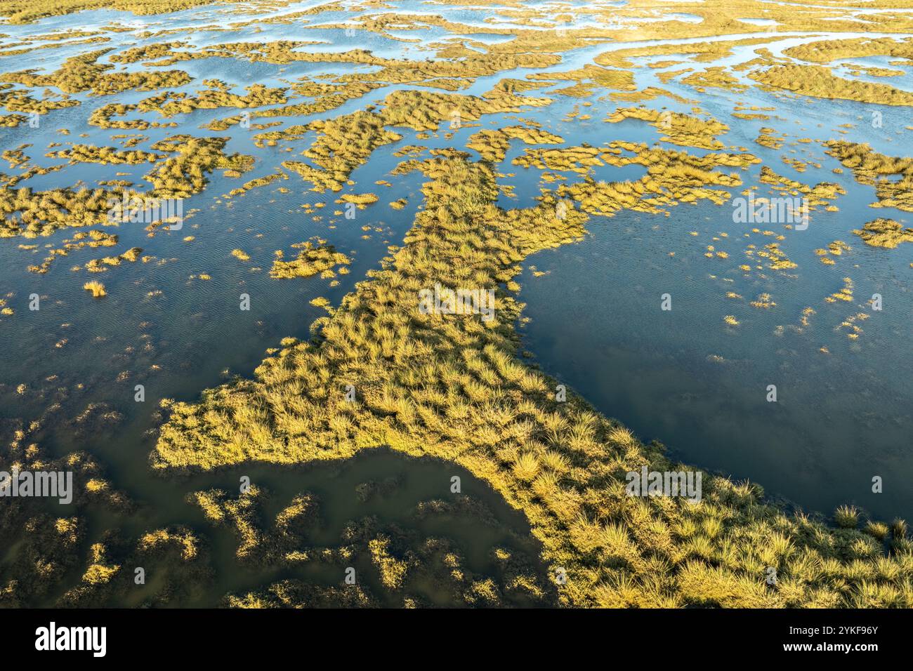Image showcases wetland habitat hi-res stock photography and images - Alamy