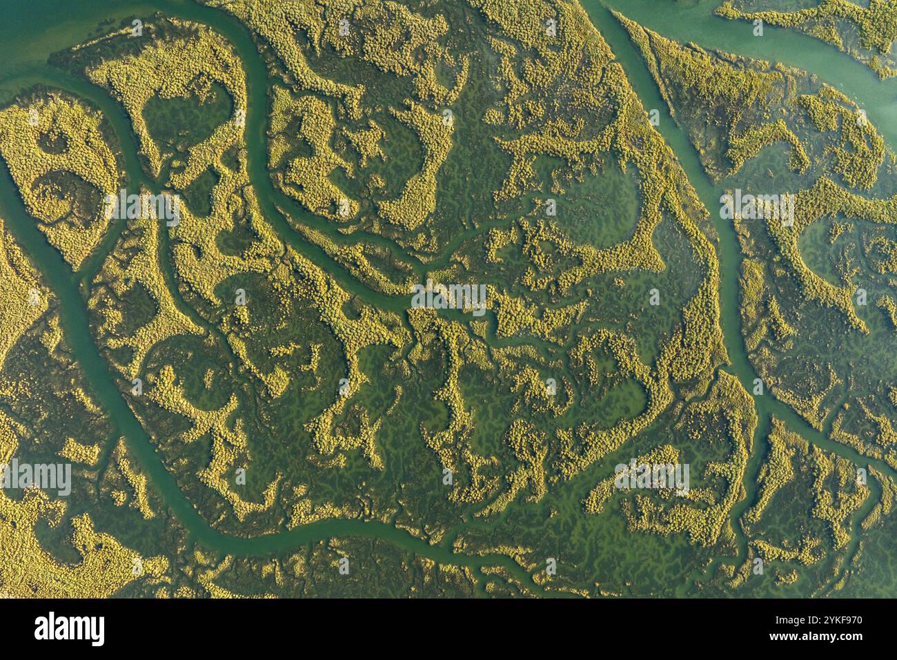 This aerial photograph captures the intricate patterns and vibrant ...