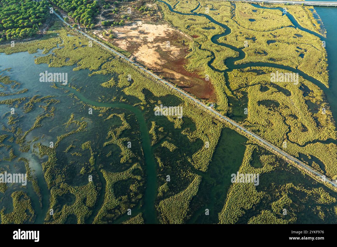 An aerial shot captures the intricate patterns of swamps and marshes ...