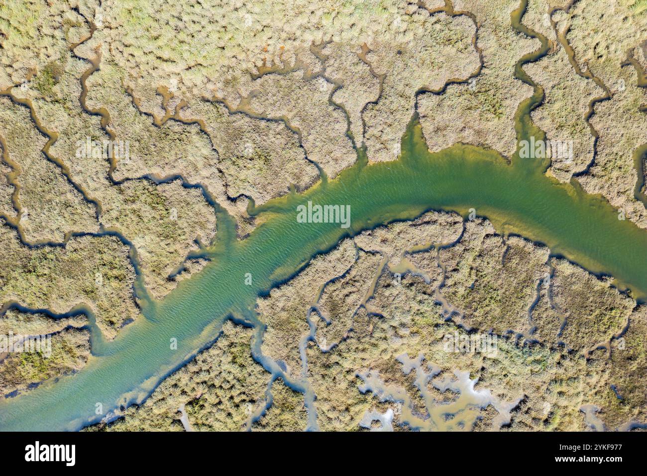 Highlighting the natural waterway hi-res stock photography and images ...