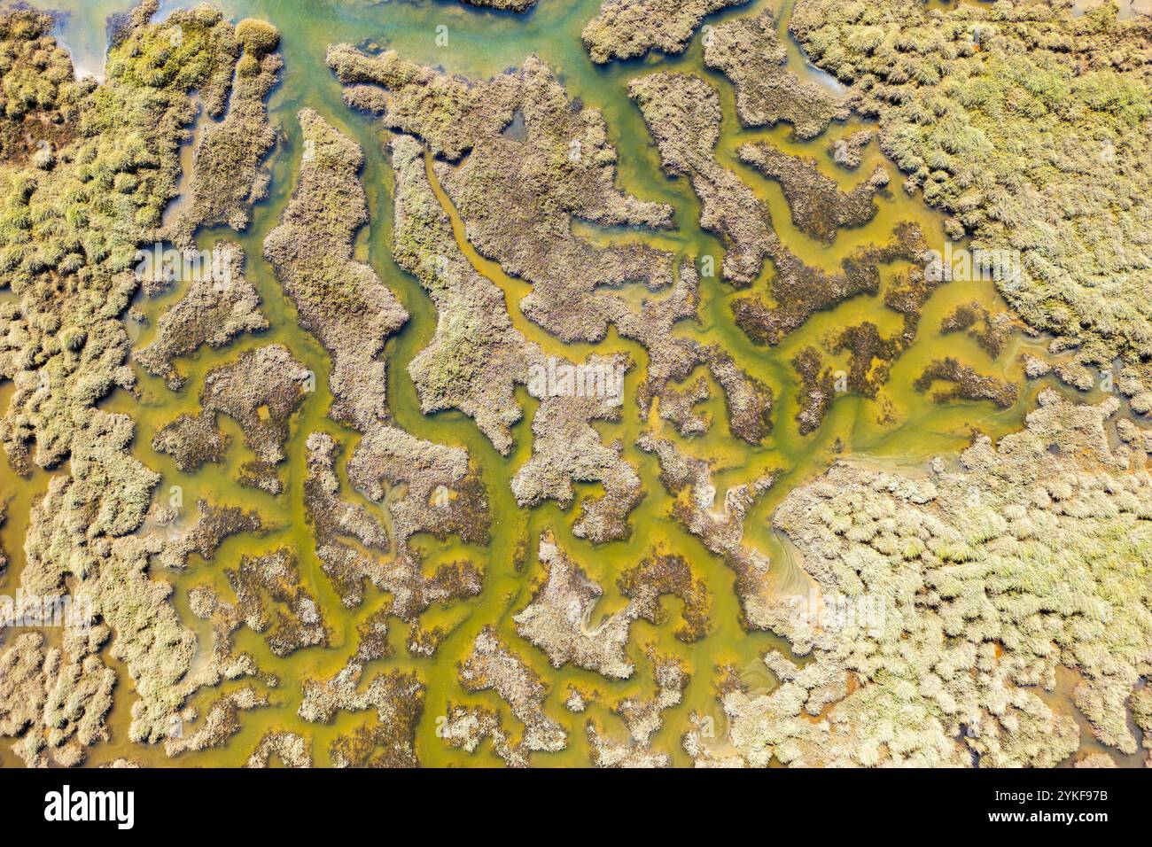 A stunning aerial photograph capturing the complexity and beauty of a ...