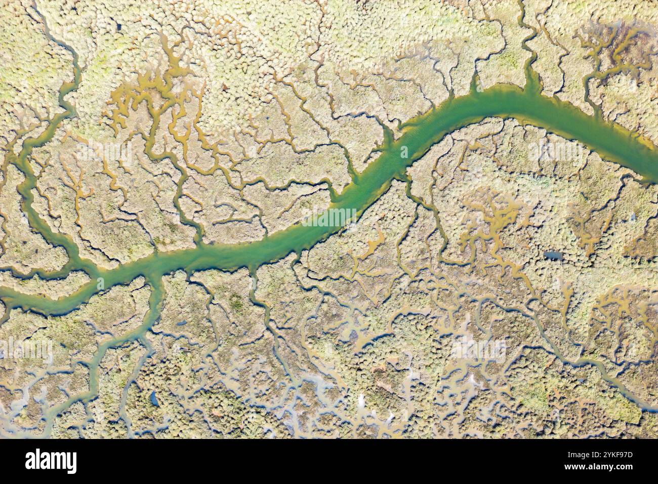 An aerial shot capturing the complex network of waterways and lush ...