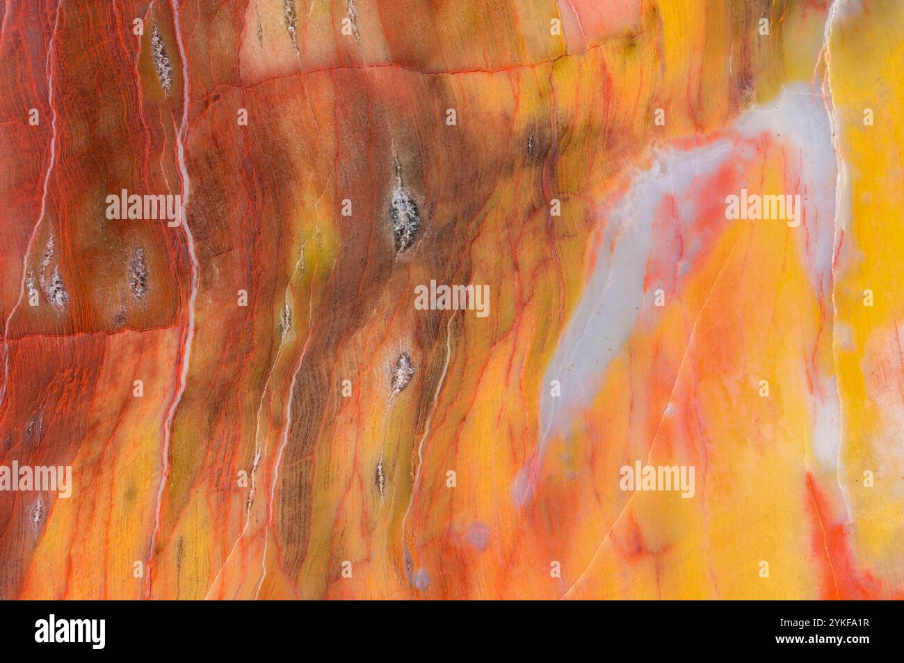 Macrophotograph showing the intricate patterns and colors of Arizona's ...