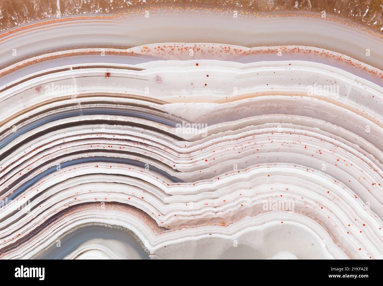 Intricate specks of white hi-res stock photography and images - Alamy