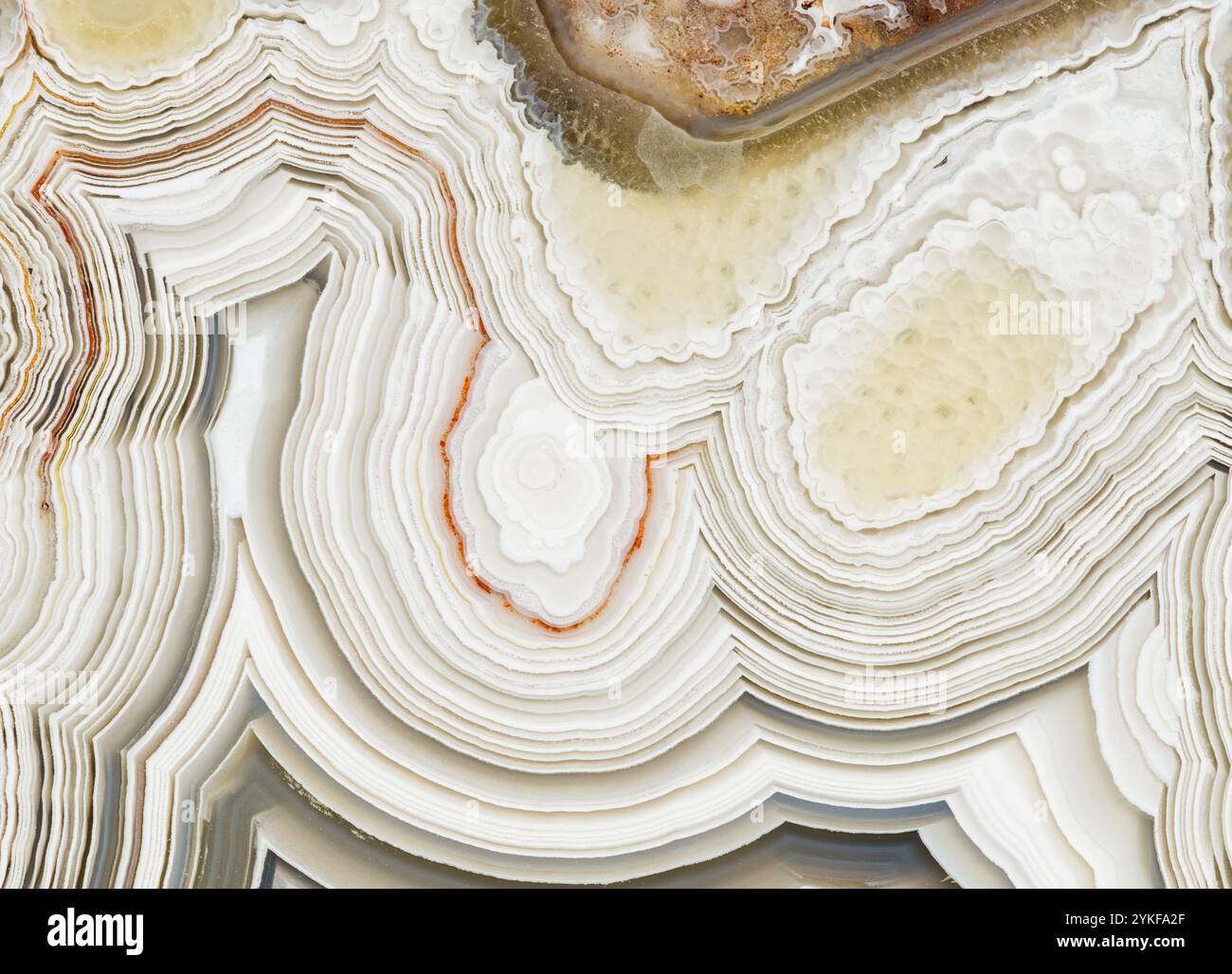 Detailed close-up of a Laguna Lace agate showcasing its intricate ...