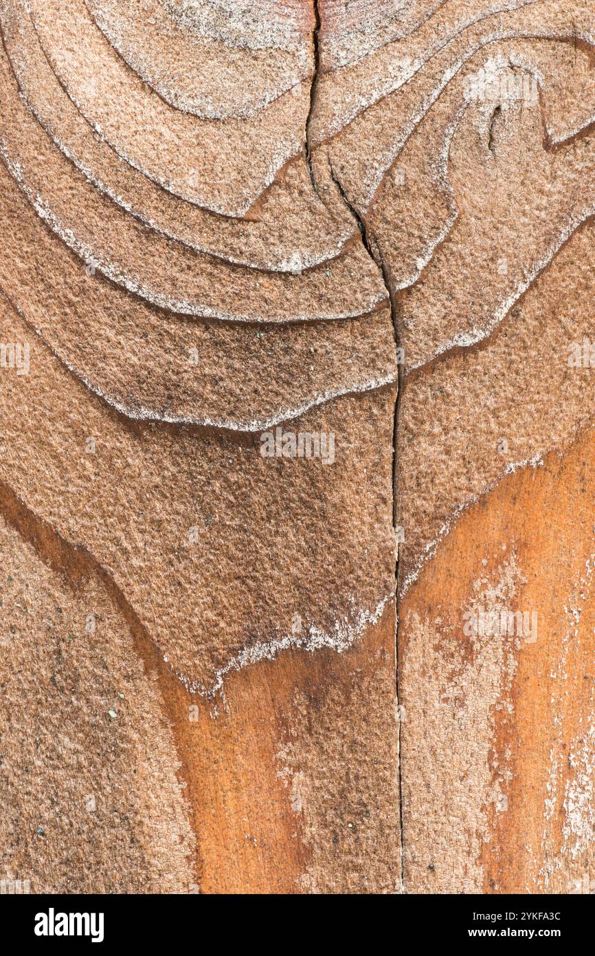 Detailed view of weathered sandstone, showcasing intricate layers and ...