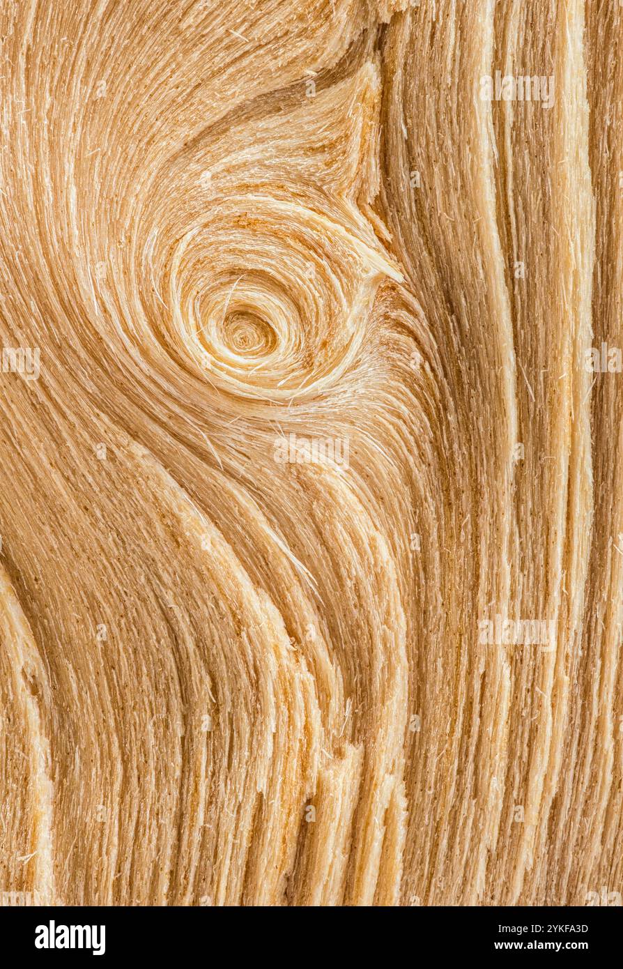 Displaying intricate concentric patterns hi-res stock photography and ...
