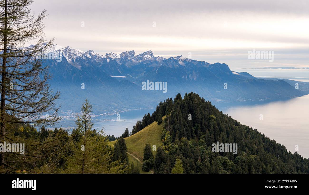 Captivating landscape from a hike at Dent de Jaman, showing majestic ...