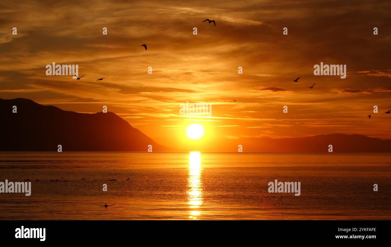 A breathtaking sunrise casts a warm, golden glow over the calm sea ...