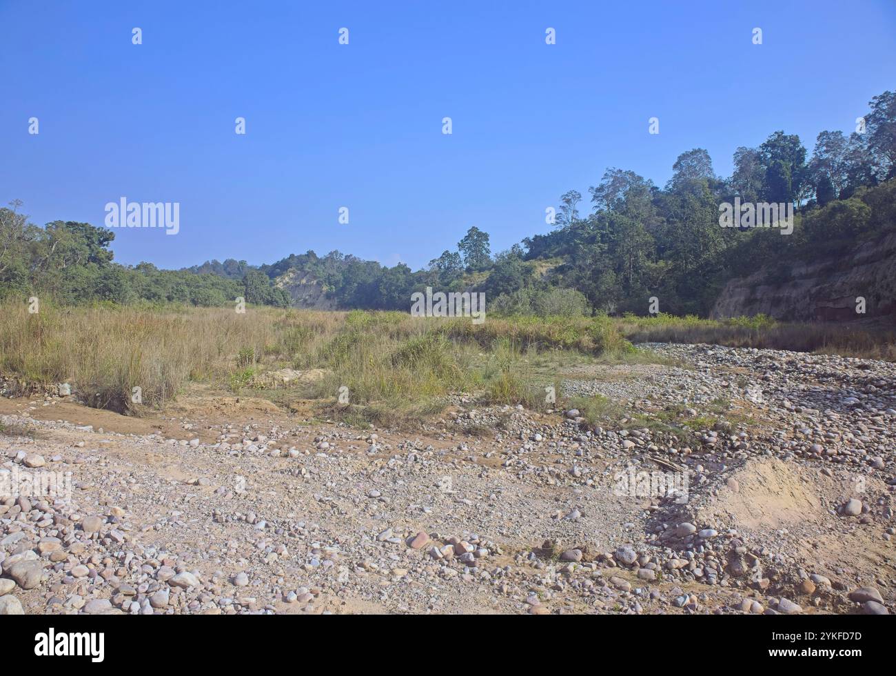 Riverbed in the dry season, Jim Corbett National Park, Uttarakhand ...
