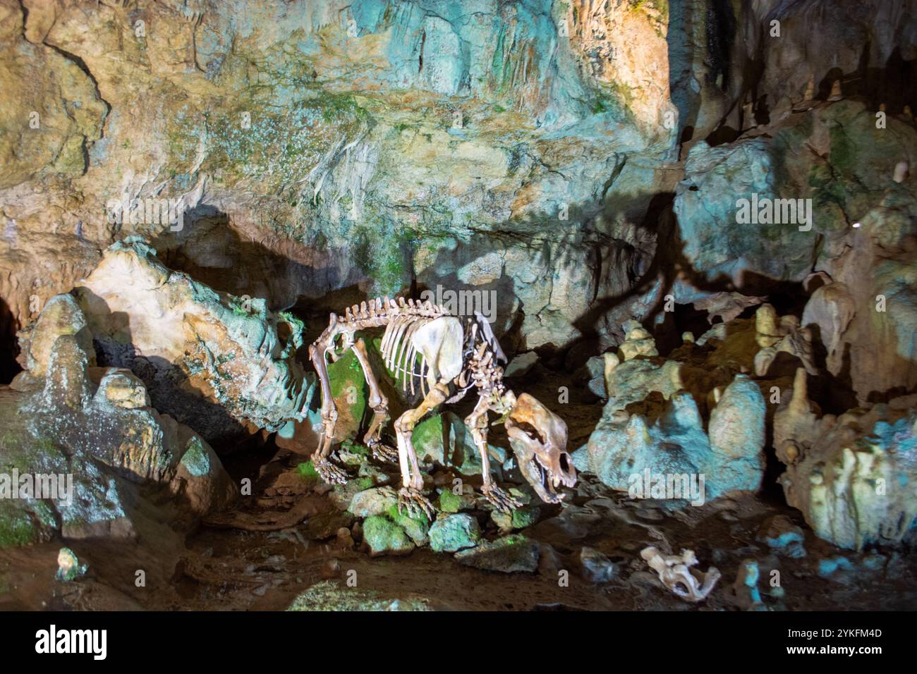 In Bear's cave, swabian Jura, a limestone cave from long ago Stock Photo - Alamy
