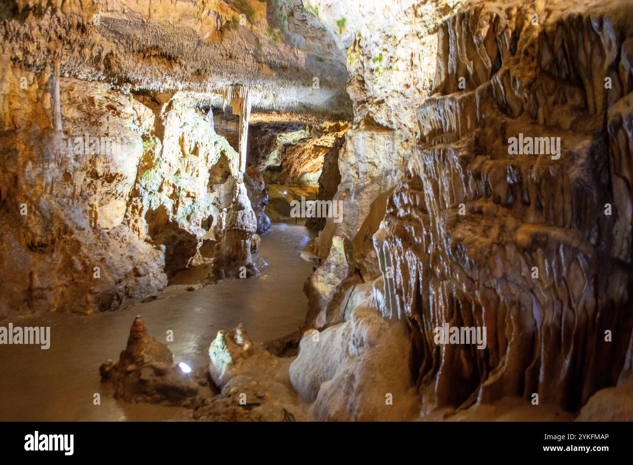 In Bear's cave, swabian Jura, a limestone cave from long ago Stock Photo - Alamy