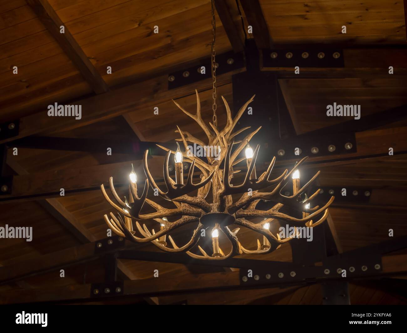 Modern chandelier deer horns in living room, Vintage ceiling light or ...