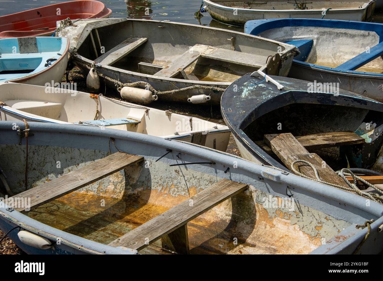 Rowing boats tied up at the waters edge Stock Photo - Alamy