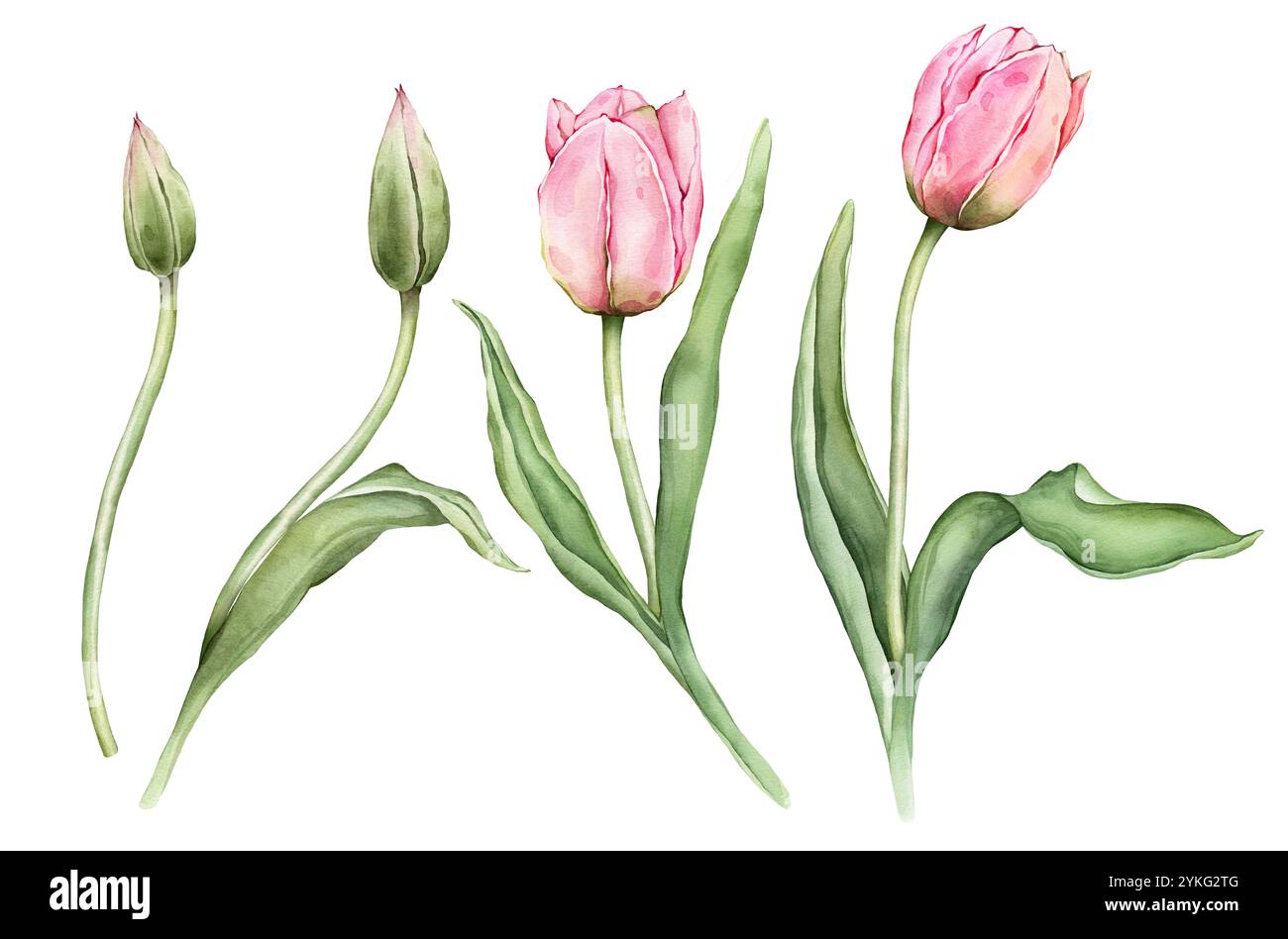 Watercolor set open vintage Cut Out Stock Images & Pictures - Alamy