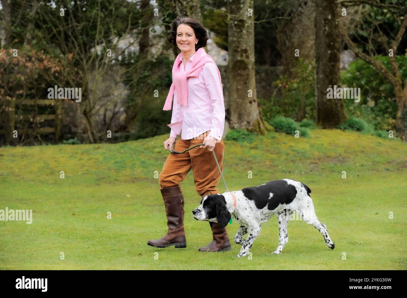 A middle aged woman walking with her elderly cocker spaniel dog Stock ...