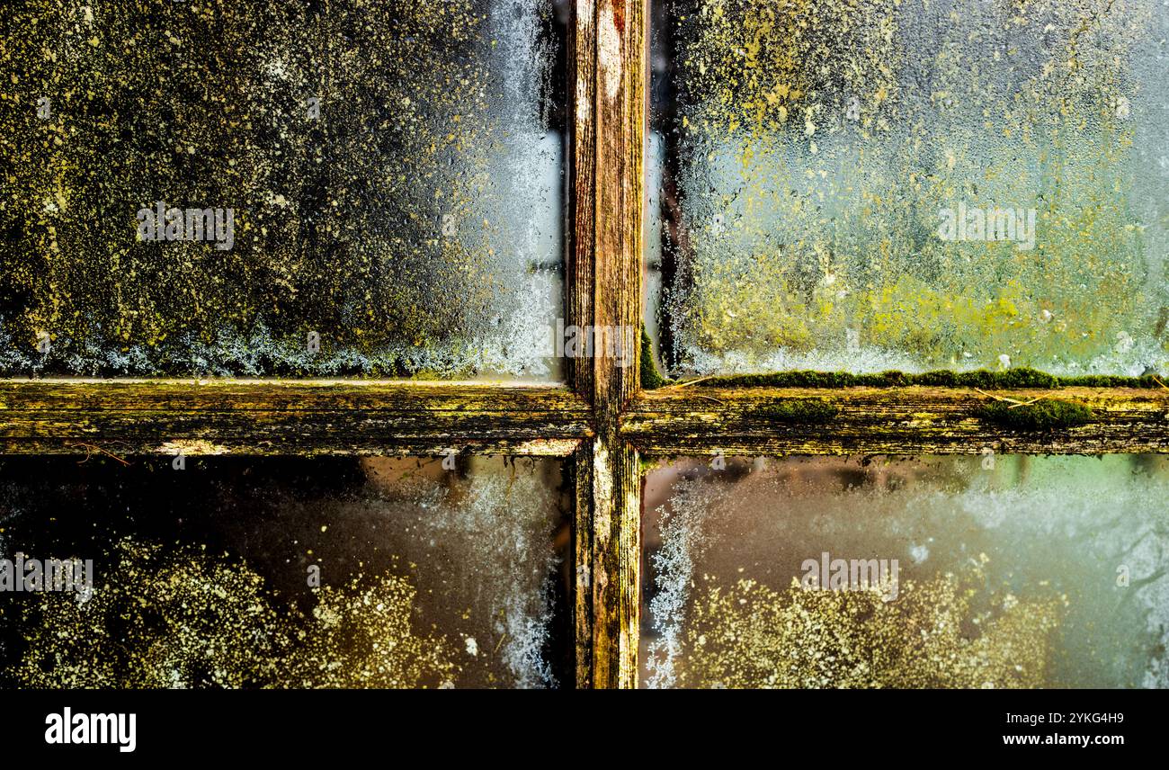 Frosted glass pane hi-res stock photography and images - Alamy