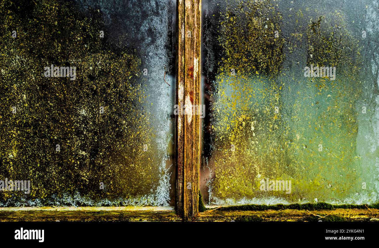 Frosted window pane in old garden hut Stock Photo - Alamy