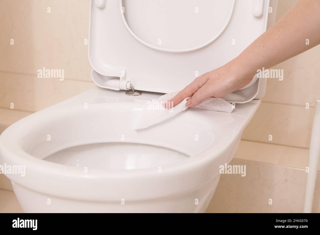 Antibacterial Flushable Bathroom Cleaner Wipes. Wet cleaning ...