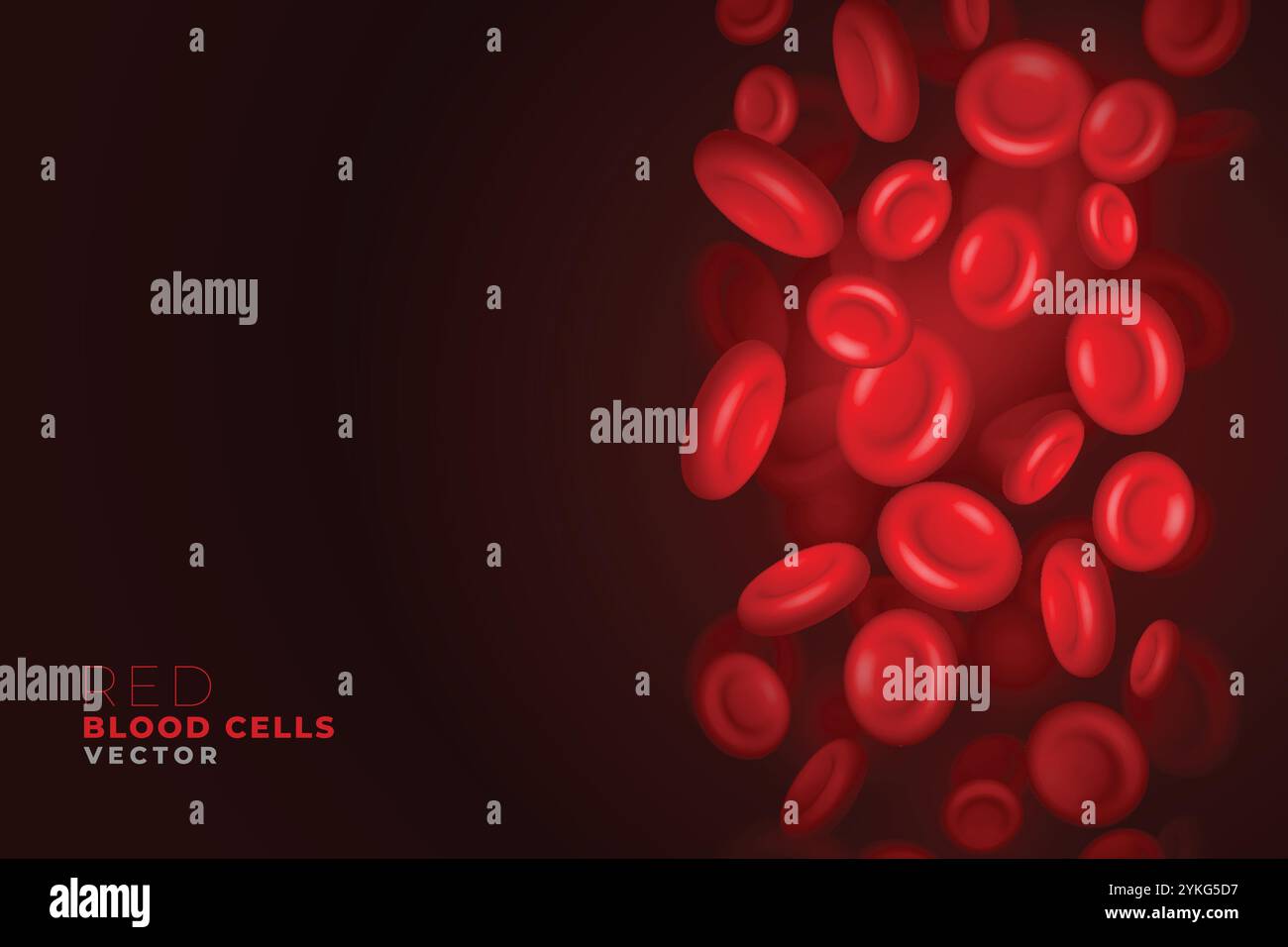 red blood cells flowing background Stock Vector Image & Art - Alamy
