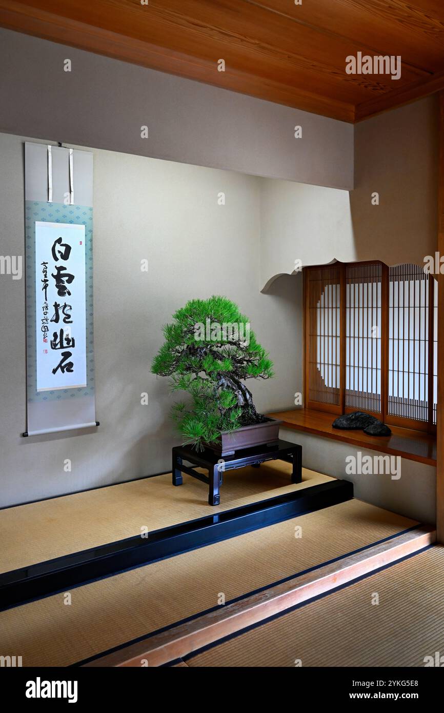 Bonsai Museum Tokyo Stock Photo - Alamy