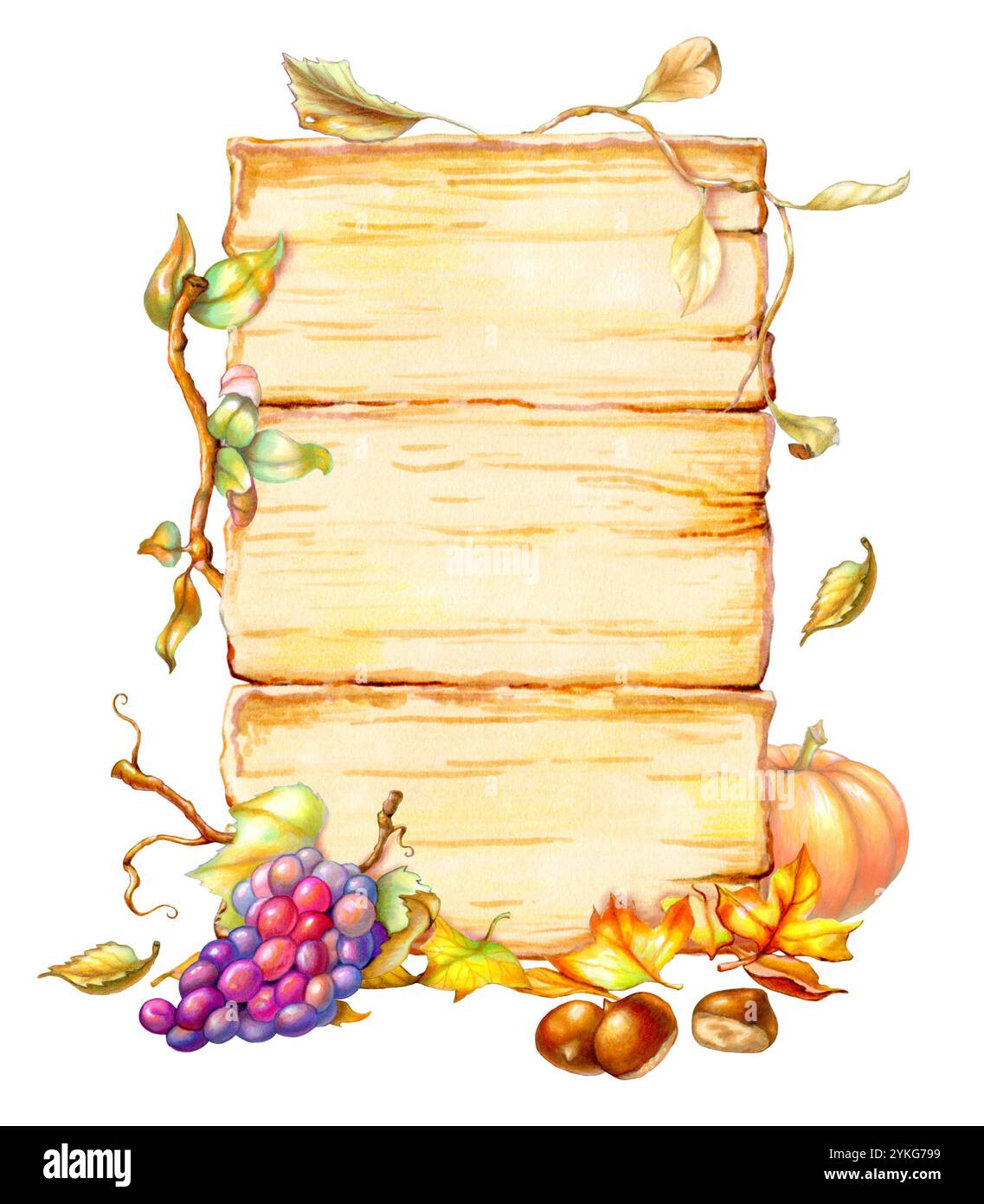 Autum themed wood banner. Traditional illustration on paper, digital ...