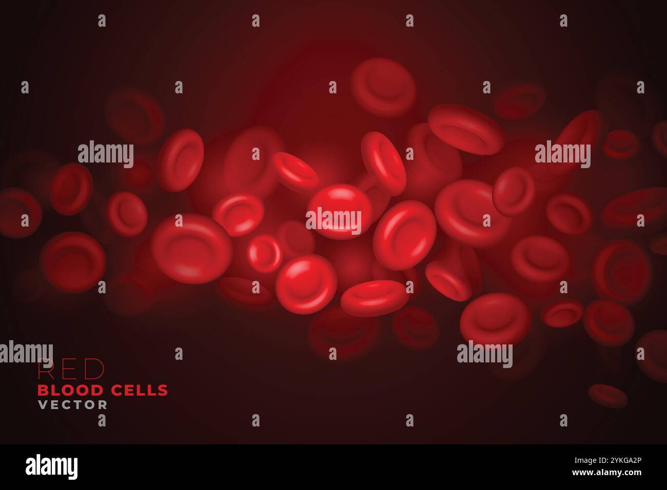 realistic red blood cells flowing through artery background Stock ...