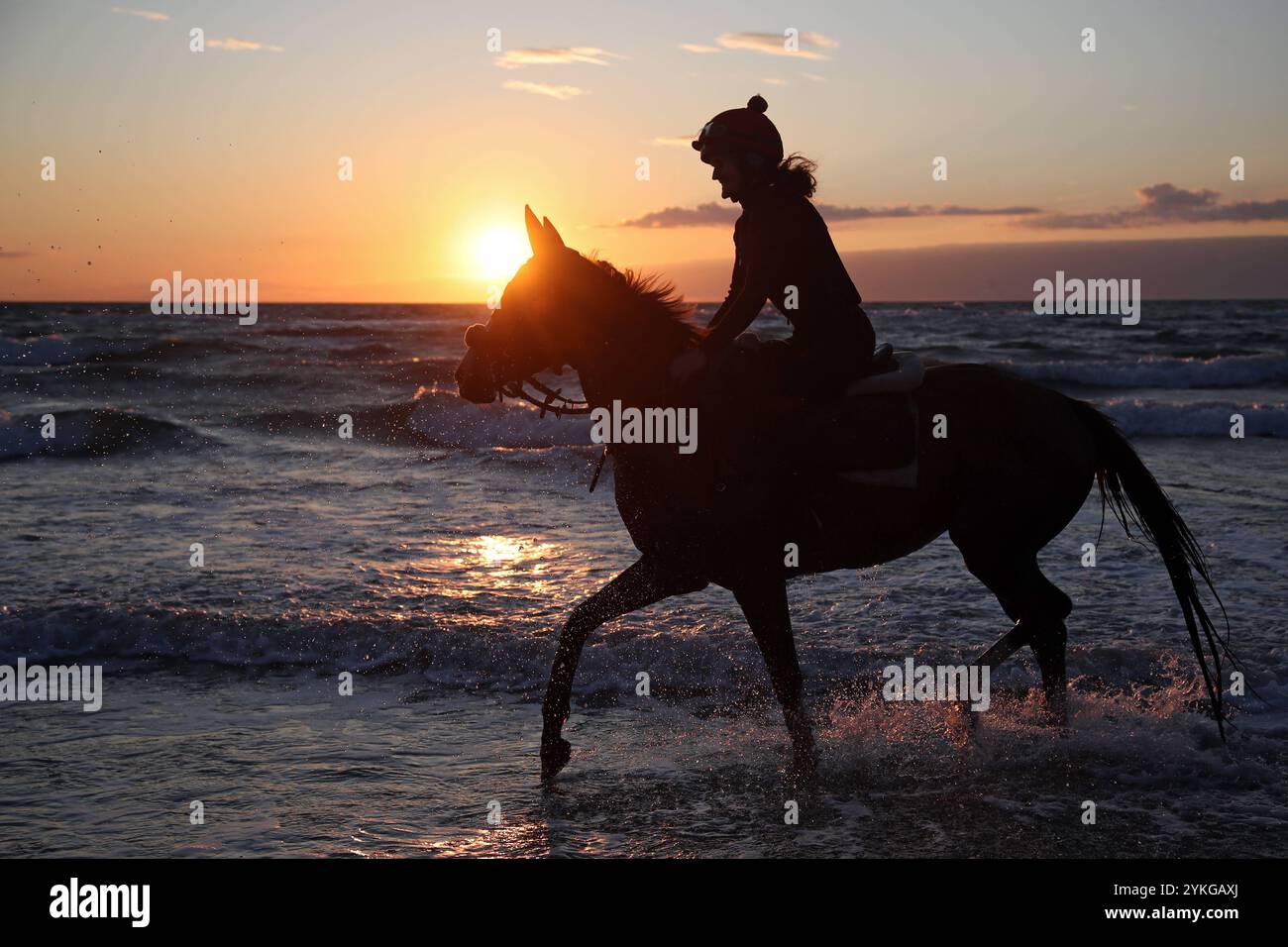 Balti outline hi-res stock photography and images - Alamy