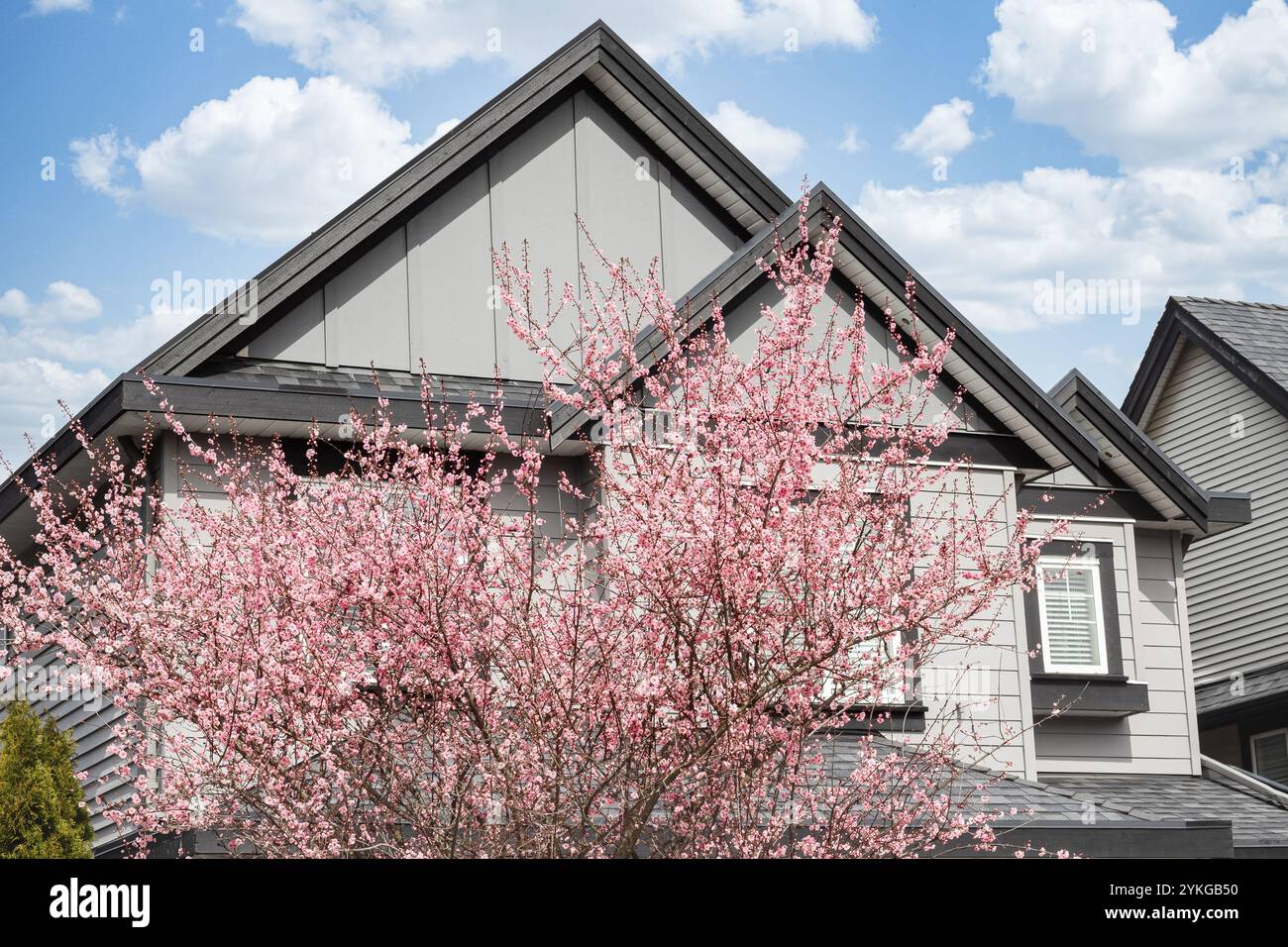 Facade of home featuring windows against a backdrop of blue skies and ...