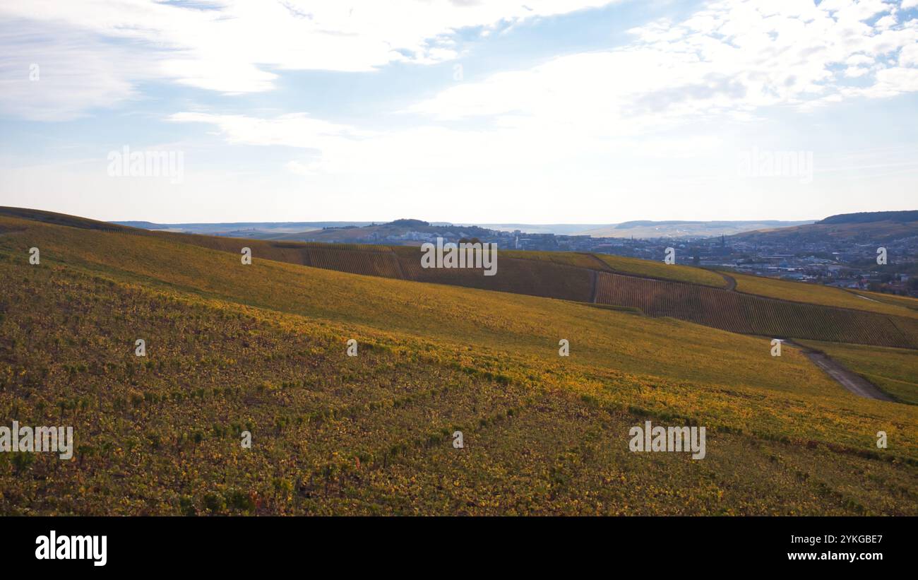 Fall leaves and champagne hi-res stock photography and images - Alamy