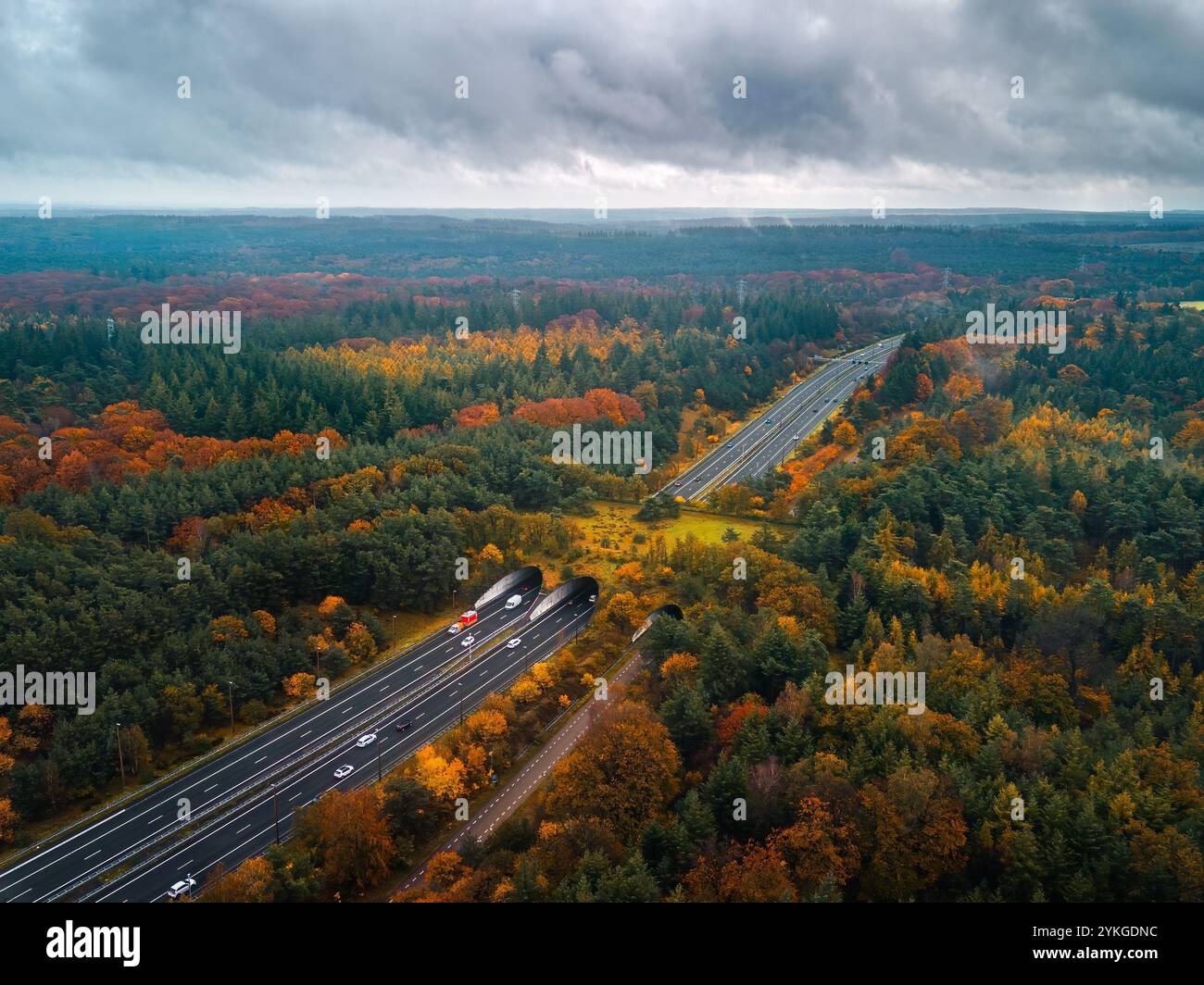 Aerial View of Apeldoorn Ecoduct in Autumn, Veluwe Forest, Netherlands ...