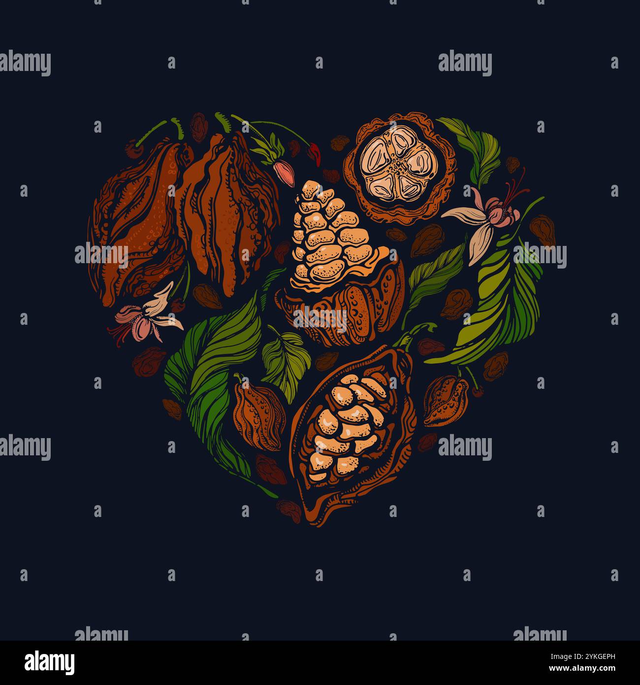 Cocoa heart symbol. Organic chocolate. Kakao beans, leaves with fruits ...