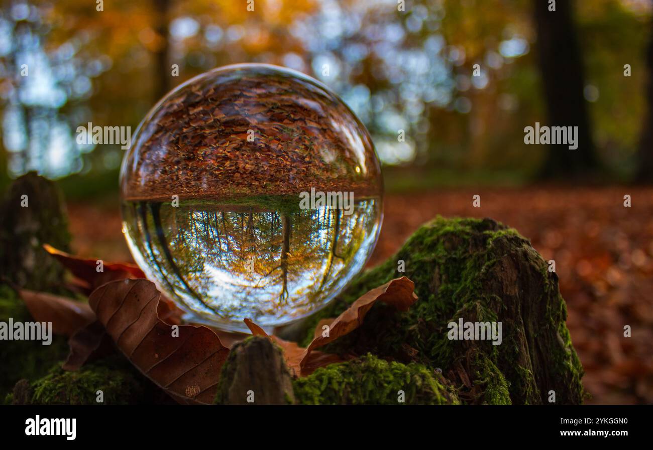 Woodbury Castle-Devon .UK Stock Photo - Alamy