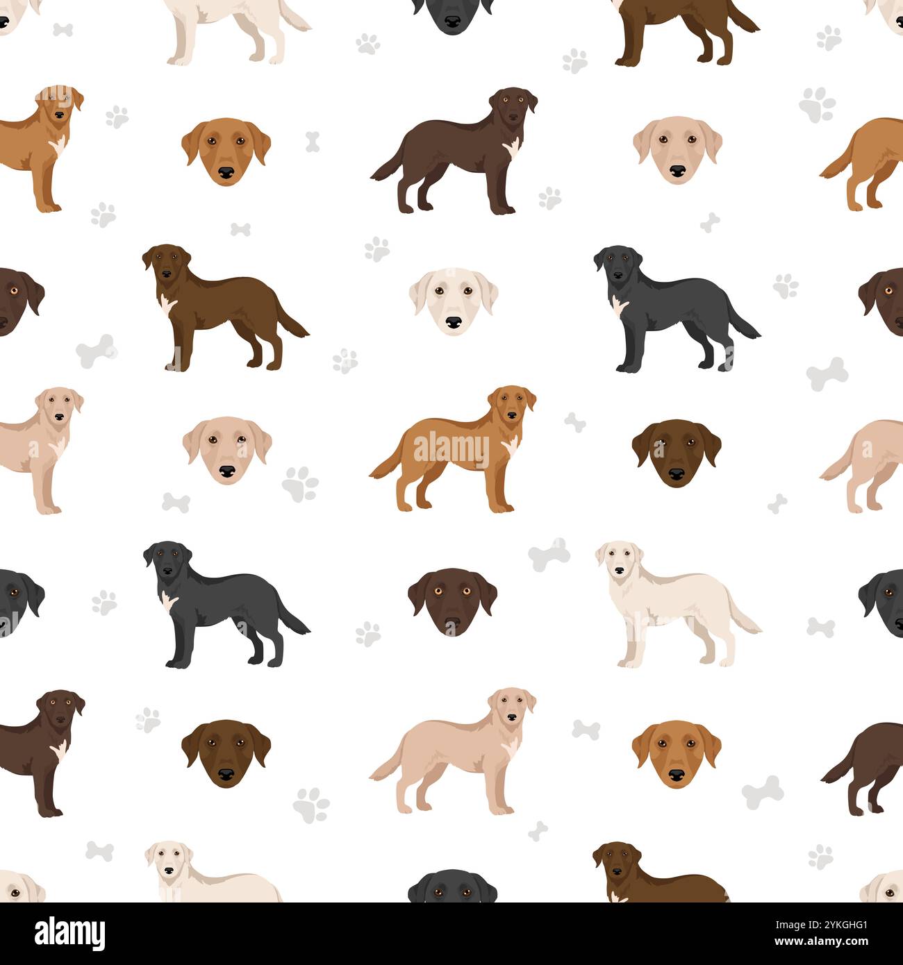Border Collie Labrador Retriever mix. Borador seamless pattern ...