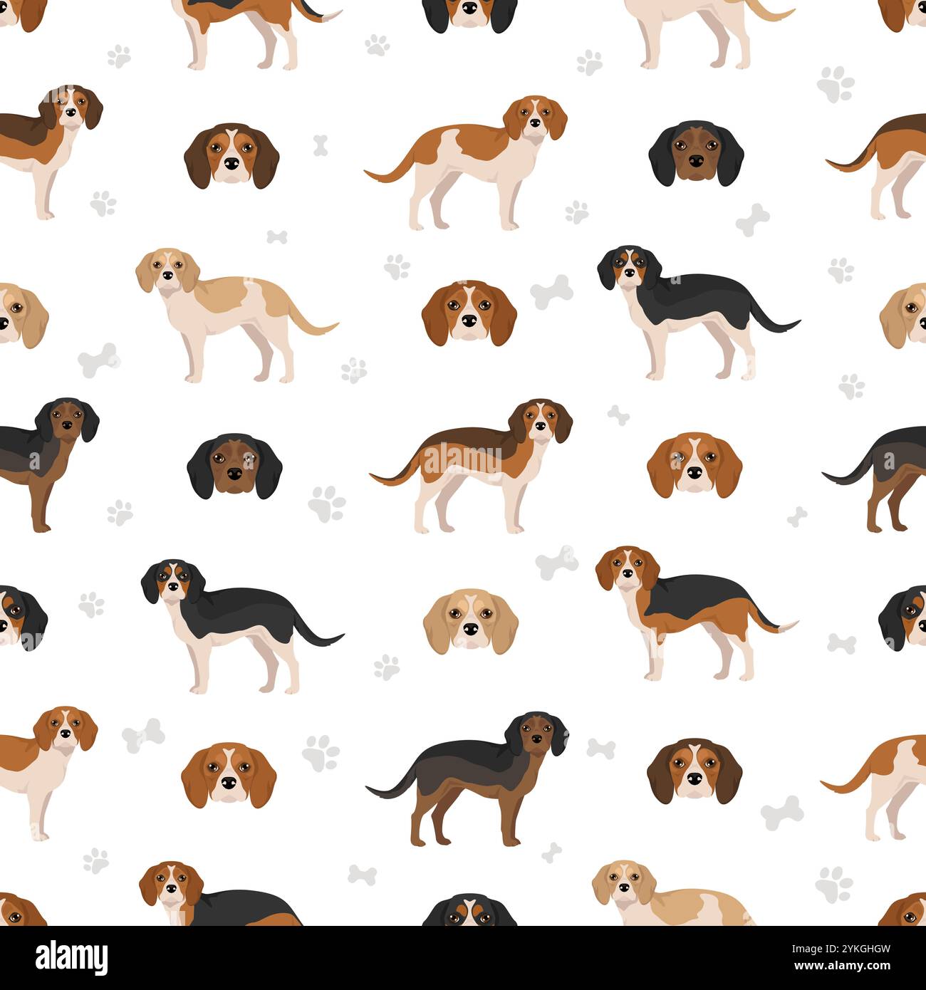 Cavalier king charles spaniel coat colors hi-res stock photography and ...