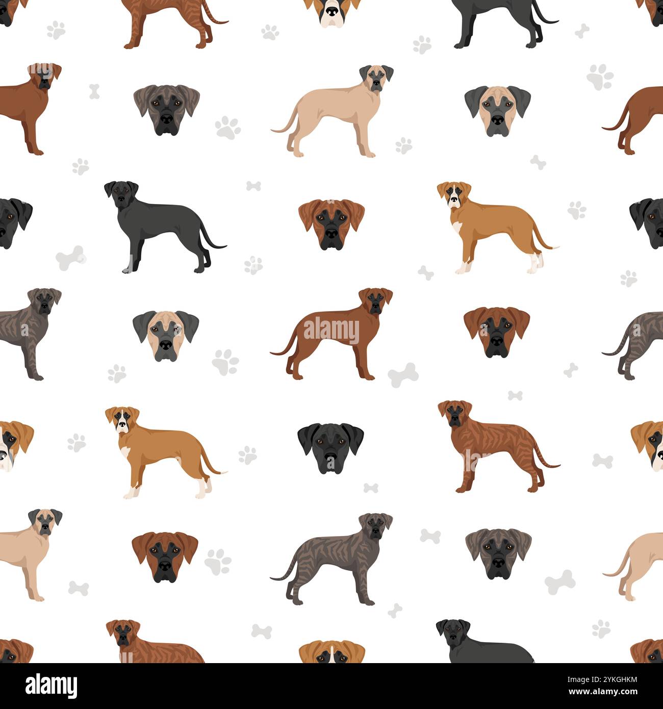 Boxerlab Stock Vector Images - Alamy
