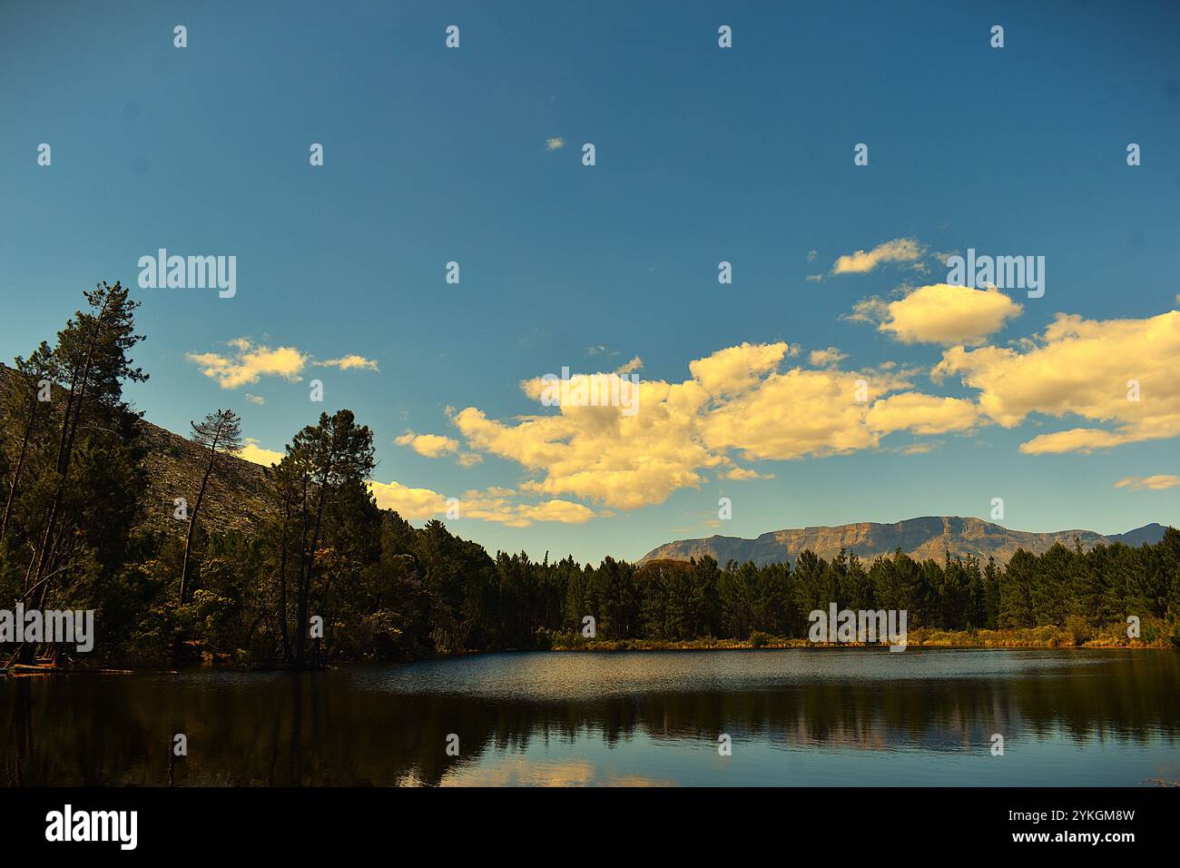 Lake on farm Stock Photo - Alamy